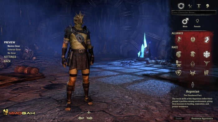 How to Choose a Race in the Elder Scrolls Online