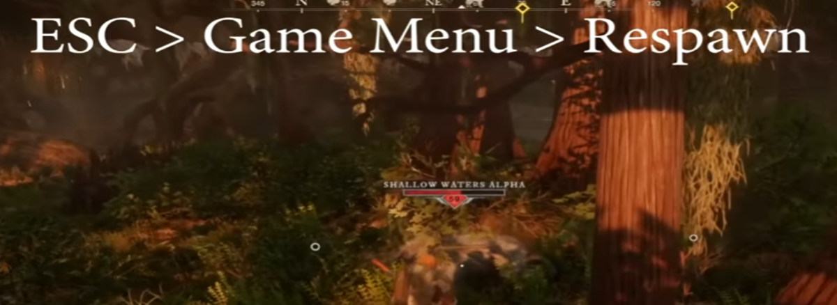 New World MMO Beginners Guide