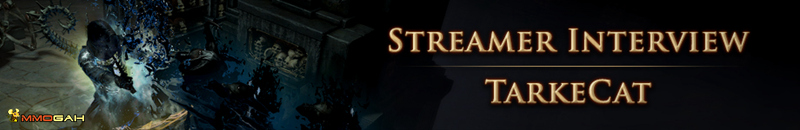 Path of Exile: What Can You Expect from Your Stream