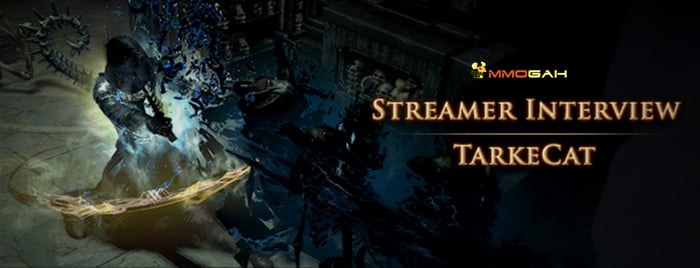 Path of Exile: What Can You Expect from Your Stream