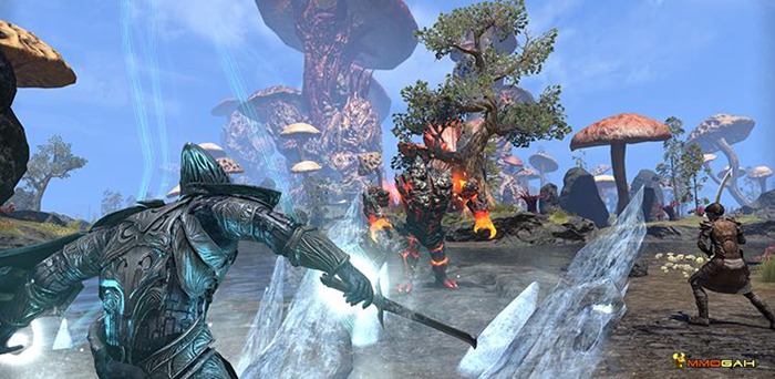 Warden Guide of Elder Scrolls Online: Skill Lines and Abilities