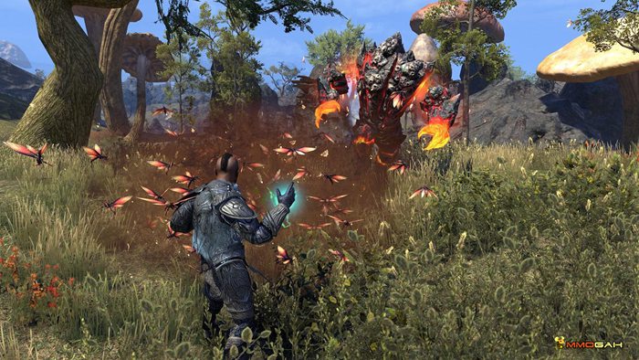 Warden Guide of Elder Scrolls Online: Skill Lines and Abilities