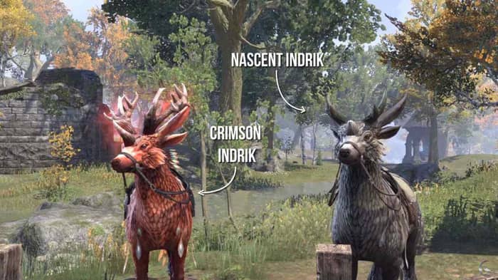 ESO Indrik Mount Guide: How to Get Crimson Indrik